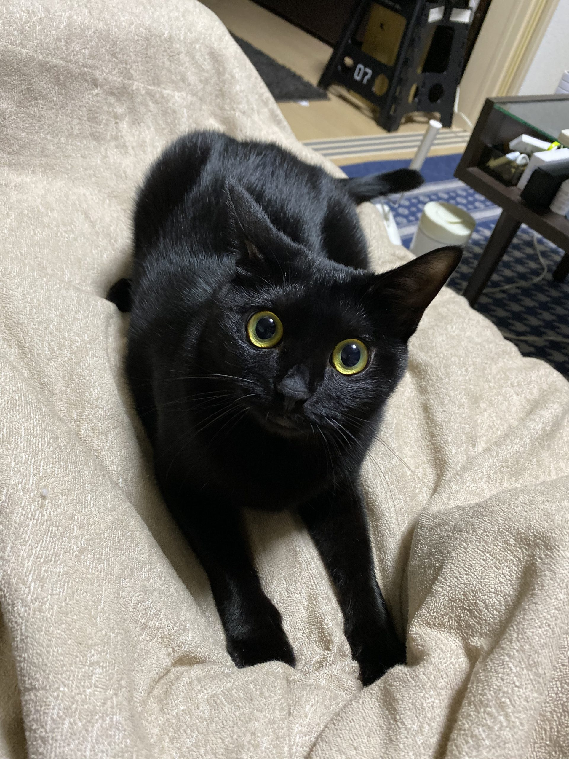 IoT | 株式会社ConsalLink（コンサルリンク）